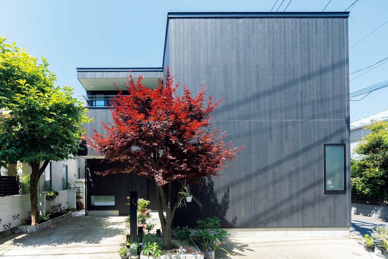 [写真](1ページ目)まるで旅館の風呂みたい。東京・敷地30坪に建つ家の極上空間 | ESSEonline（エッセ オンライン）